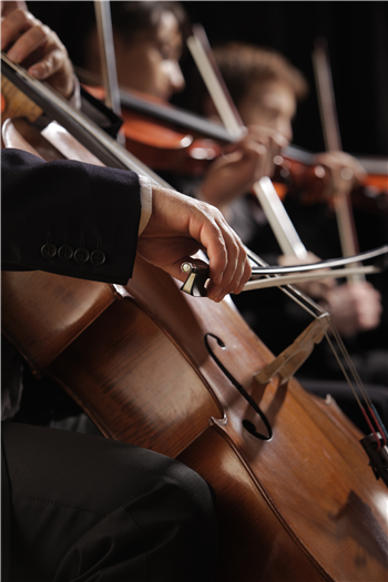 Events this weekend in the Durham Region