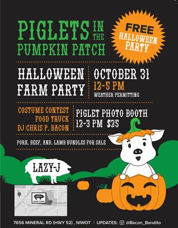 piglets pumpkin picking
